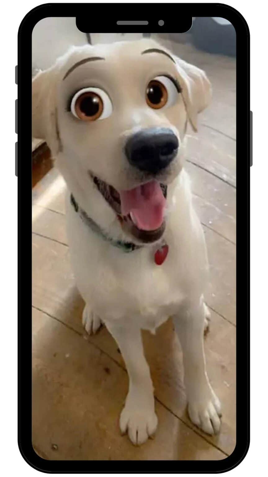 Augmented reality filters for animals